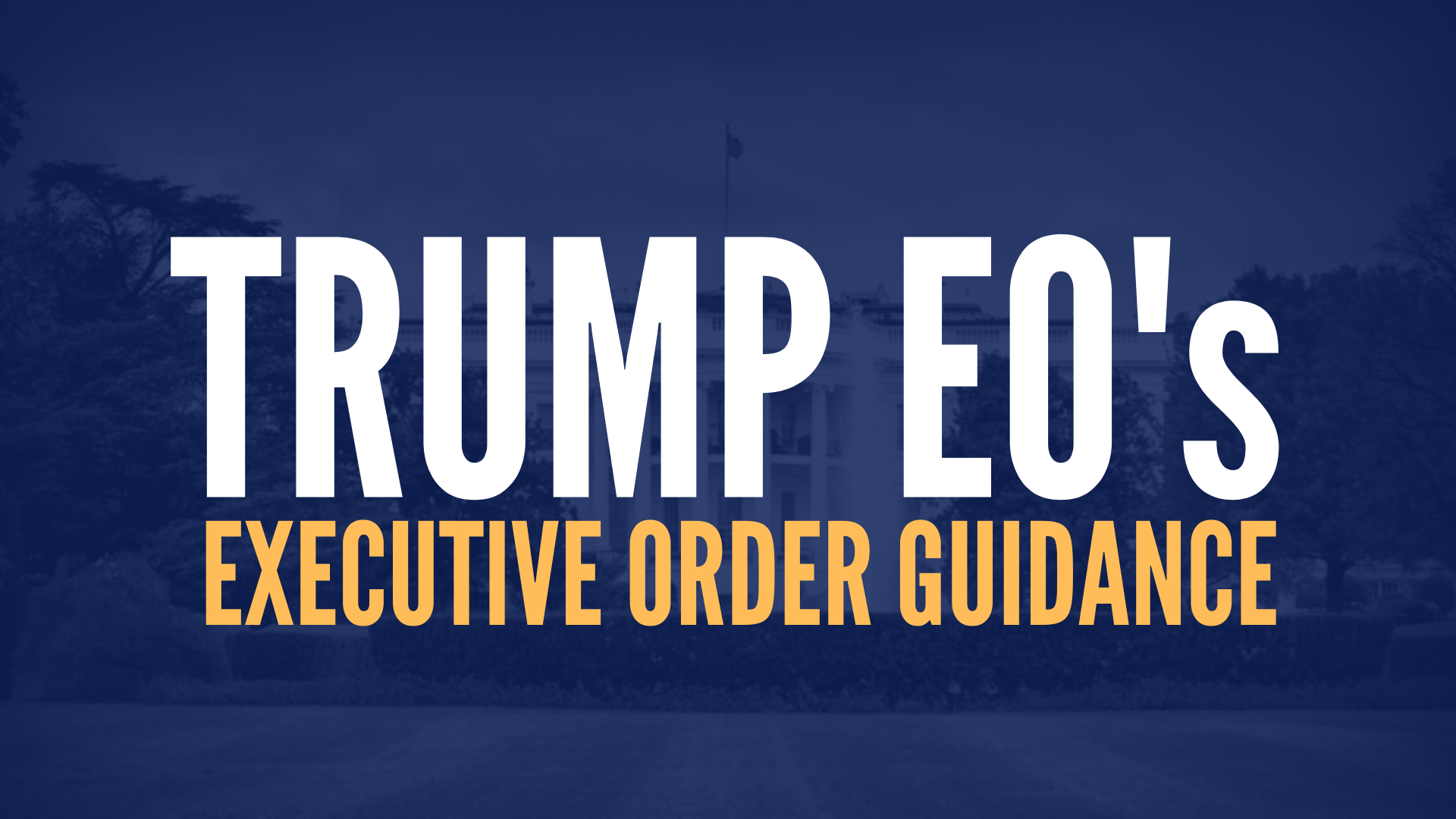 National Federation of Federal Employees